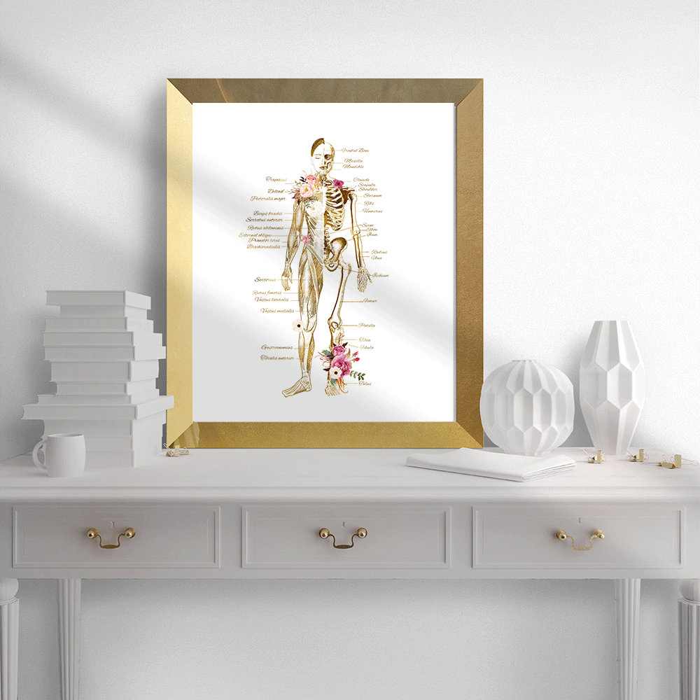 Woman Musculoskeletal System Anatomy Art Massage Therapist - Etsy