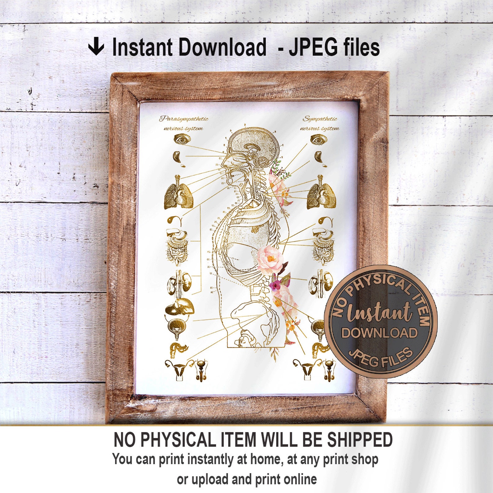 Autonomic Nervous System Print, Neuroscience Art, Neuroscience Gift ...