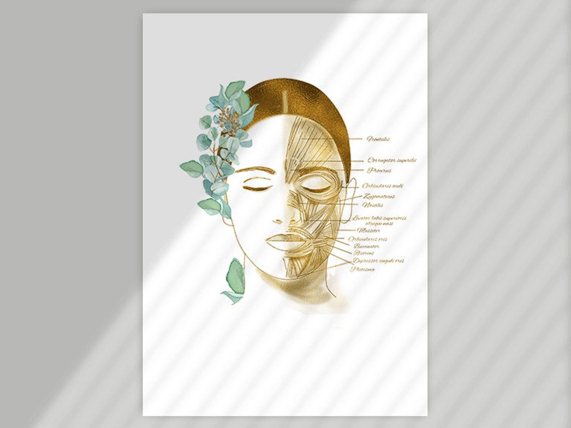 Facial Muscles Print Esthetician Office Decor Esthetician | Etsy