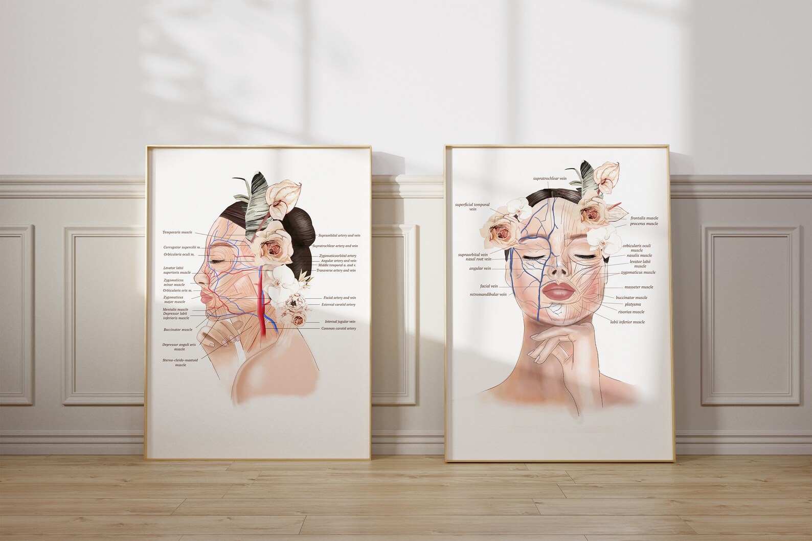 Facial Anatomy Art Set: Esthetician Medical Decor (digital Download) - Etsy