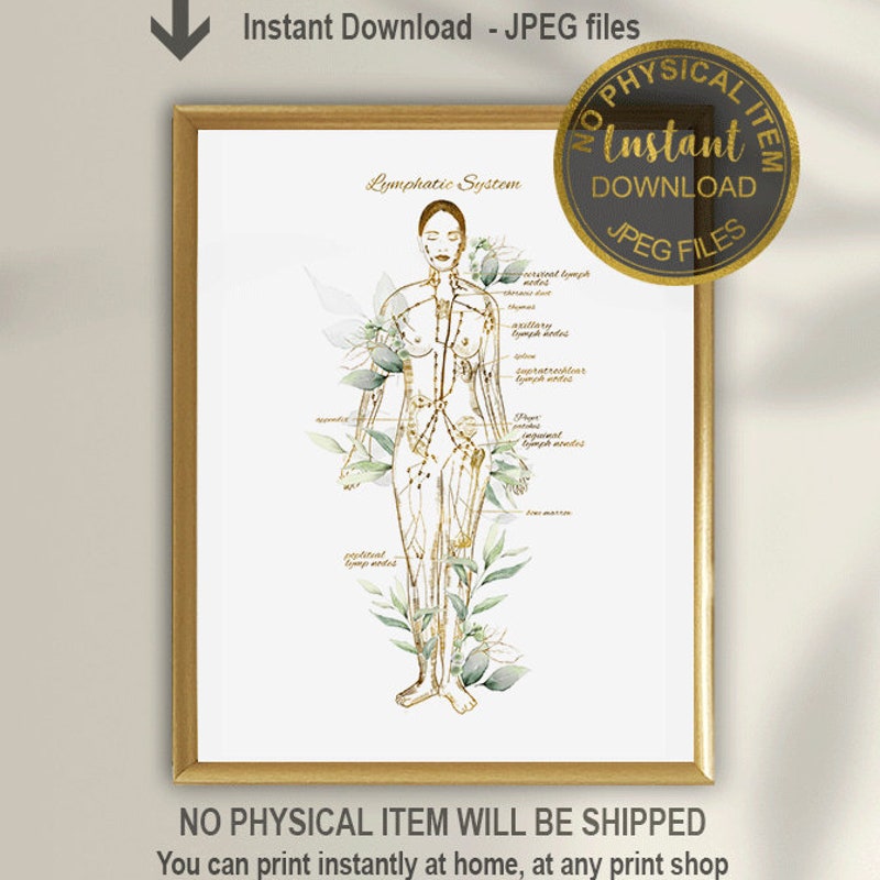 Lymphatic Drainage Poster - Etsy UK