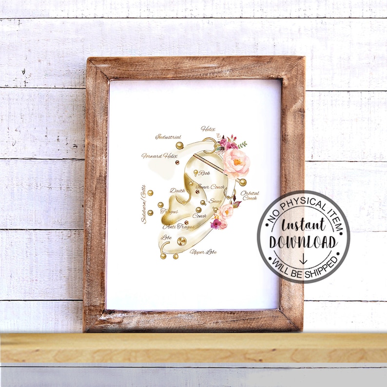 Ear Piercing Chart Art Print Piercing Poster Piercings | Etsy