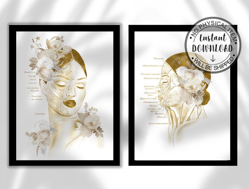 Woman Facial Muscles Posters Human Anatomy Printable Art - Etsy