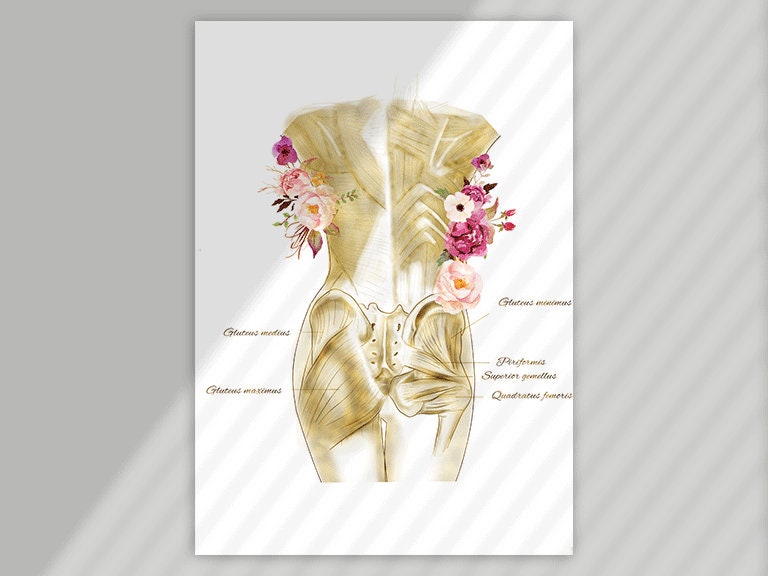 Back Muscles Anatomy Print, Back Pain Poster, Chiropractor Office Decor ...