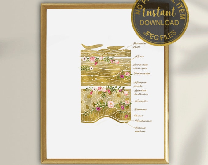 Cross Section of the Skin Watercolor Art Print - Integumentary System ...