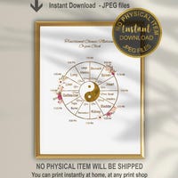 The Big Picture Acupuncture Desktop Wall Paper - TCM Point Category ...
