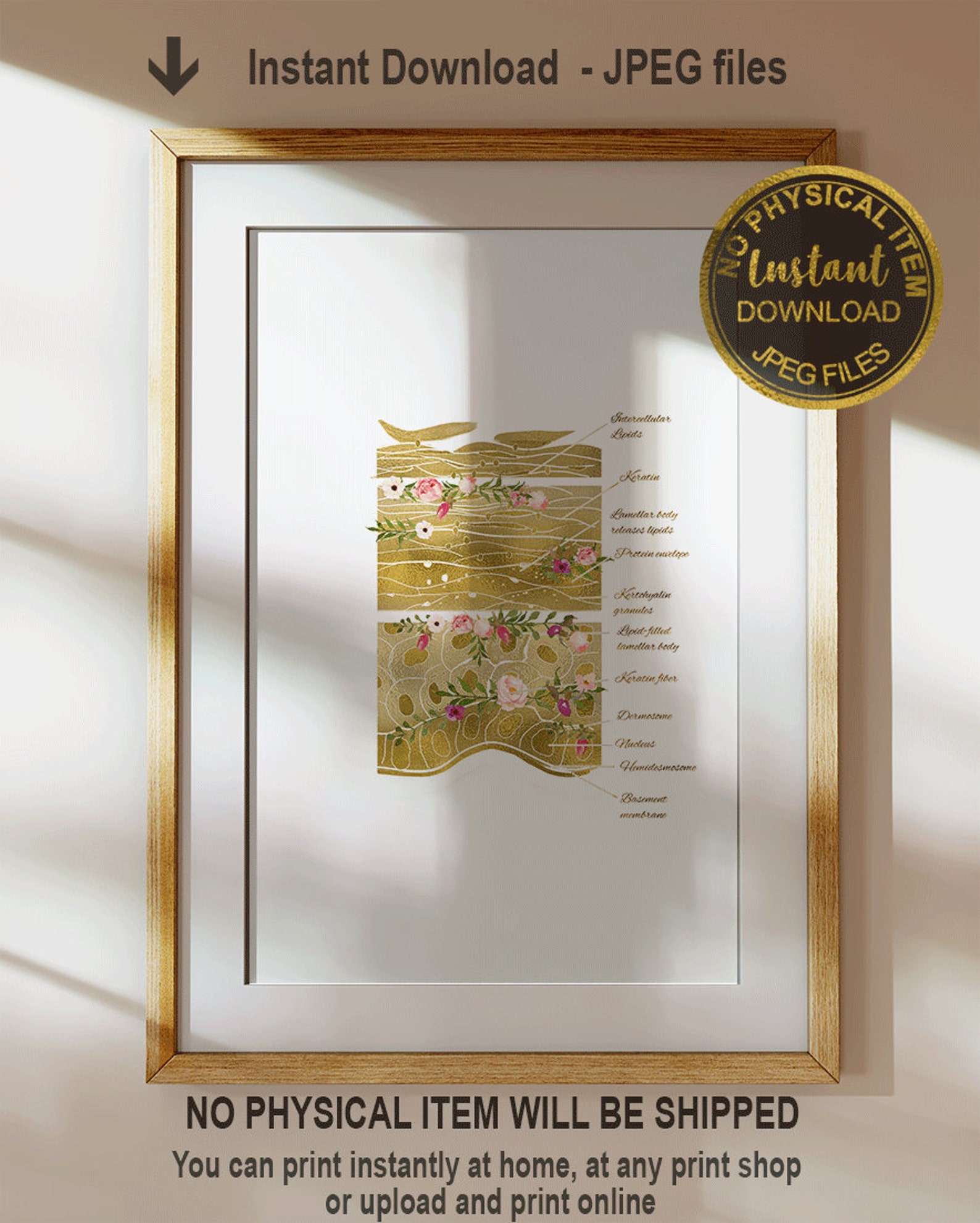 Integumentary System Print Epidermis Art Dermatologist Gift - Etsy