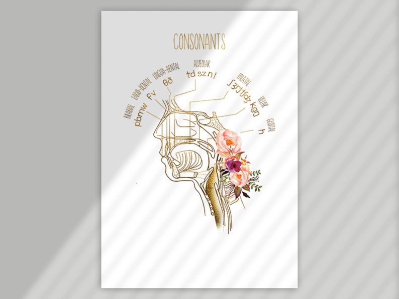 SLP Office Decor Speech Pathology Art SLP Poster Speech - Etsy