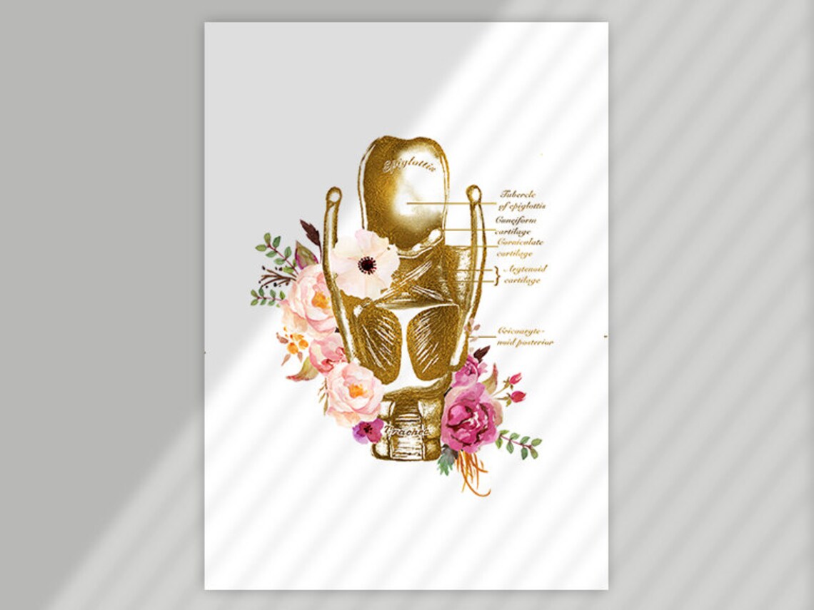 Larynx Anatomy Art Speech Language Pathologist Gift Larynx | Etsy