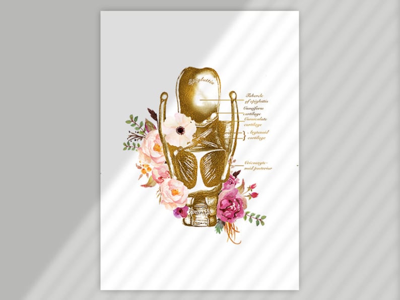Larynx Anatomy Art Speech Language Pathologist Gift Larynx - Etsy Canada