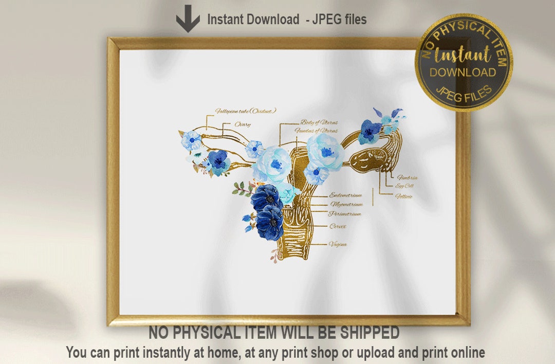 Uterus Print, Female Reproductive System, Pregnancy Gift, Womb Anatomy ...