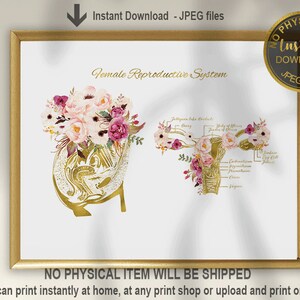 Uterus Art, Womb Art, Obstetrician Gift, Midwife Gift, OBGYN Gift ...