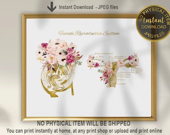 Human Placenta Floral Art Print OBGYN Residency Decor Doula - Etsy Ireland