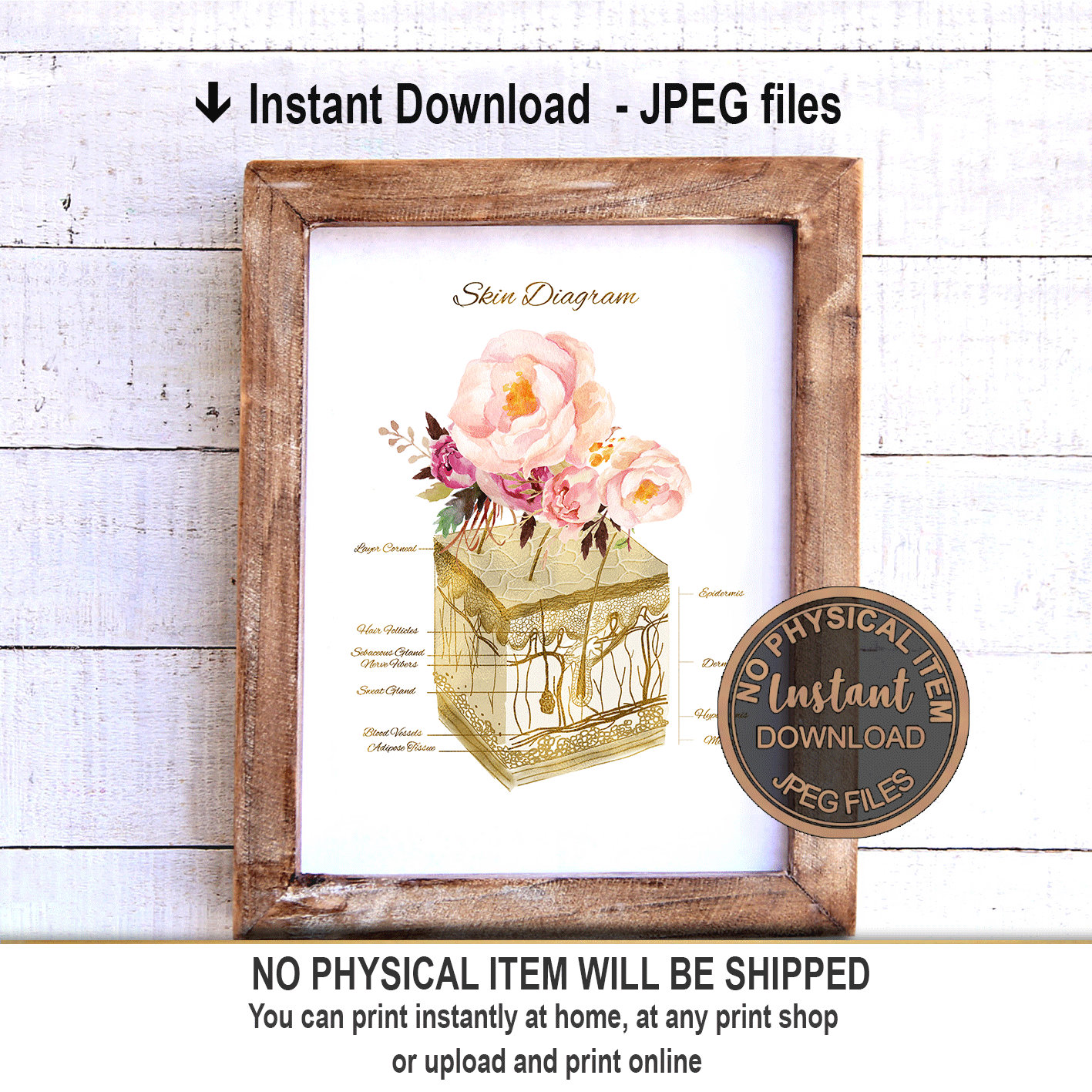 Skin Anatomy Art Dermatologist Gift Dermatology Decor - Etsy