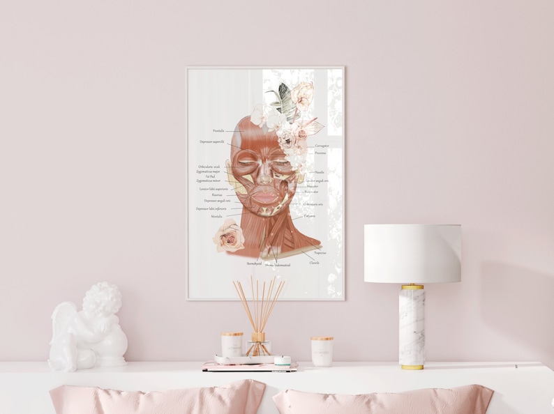 Facial Muscles Anatomy Diagram Printable, Facial Muscle Chart for ...