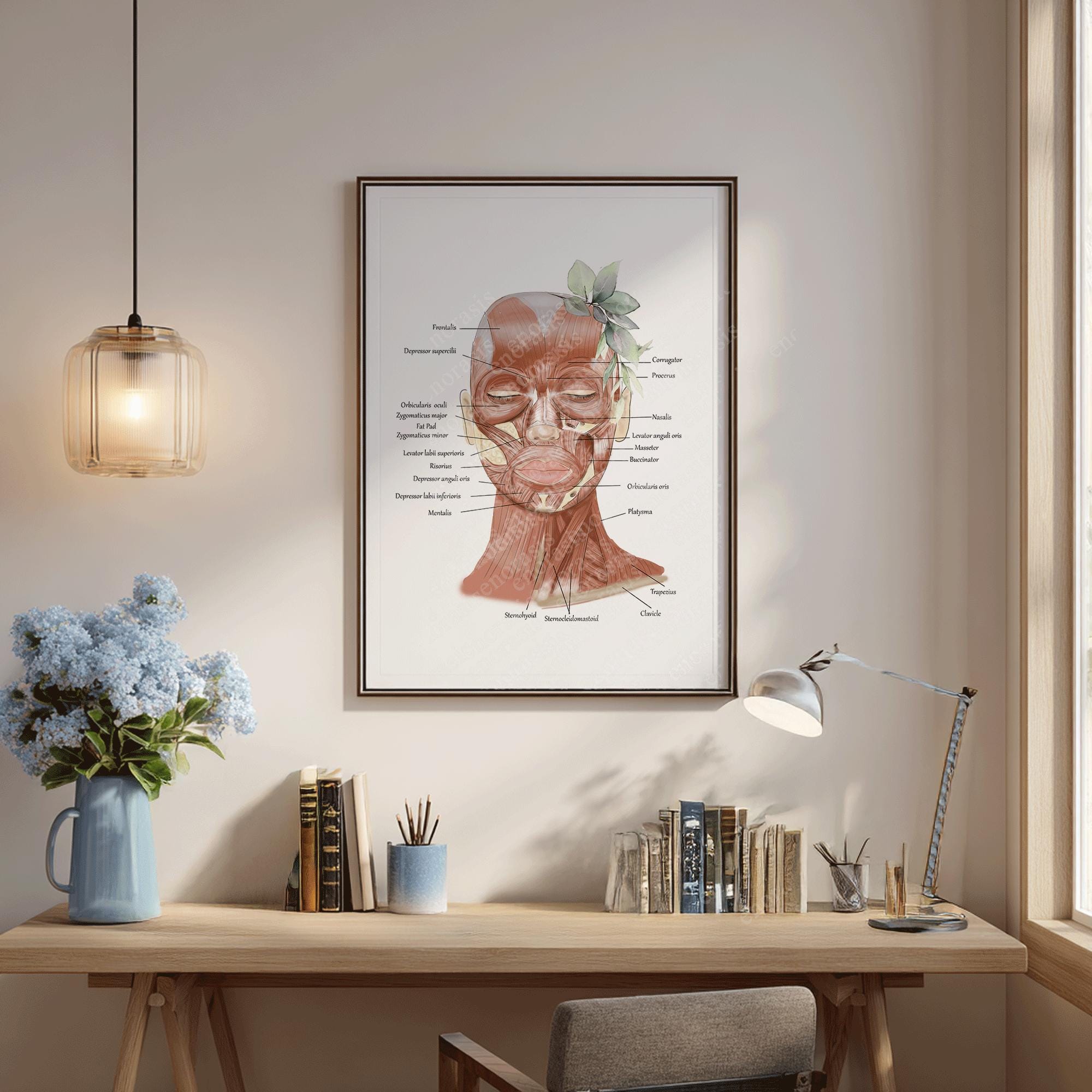 Facial Anatomy Art Print for Esthetician Office | Facial Muscles ...