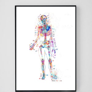 Anatomy Print Set, Medical Art Print, Anatomy Art Print, Printable Art ...