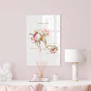 Auditory Ossicles Anatomy Art, Audiologist Gift, Ear Anatomy Print ...