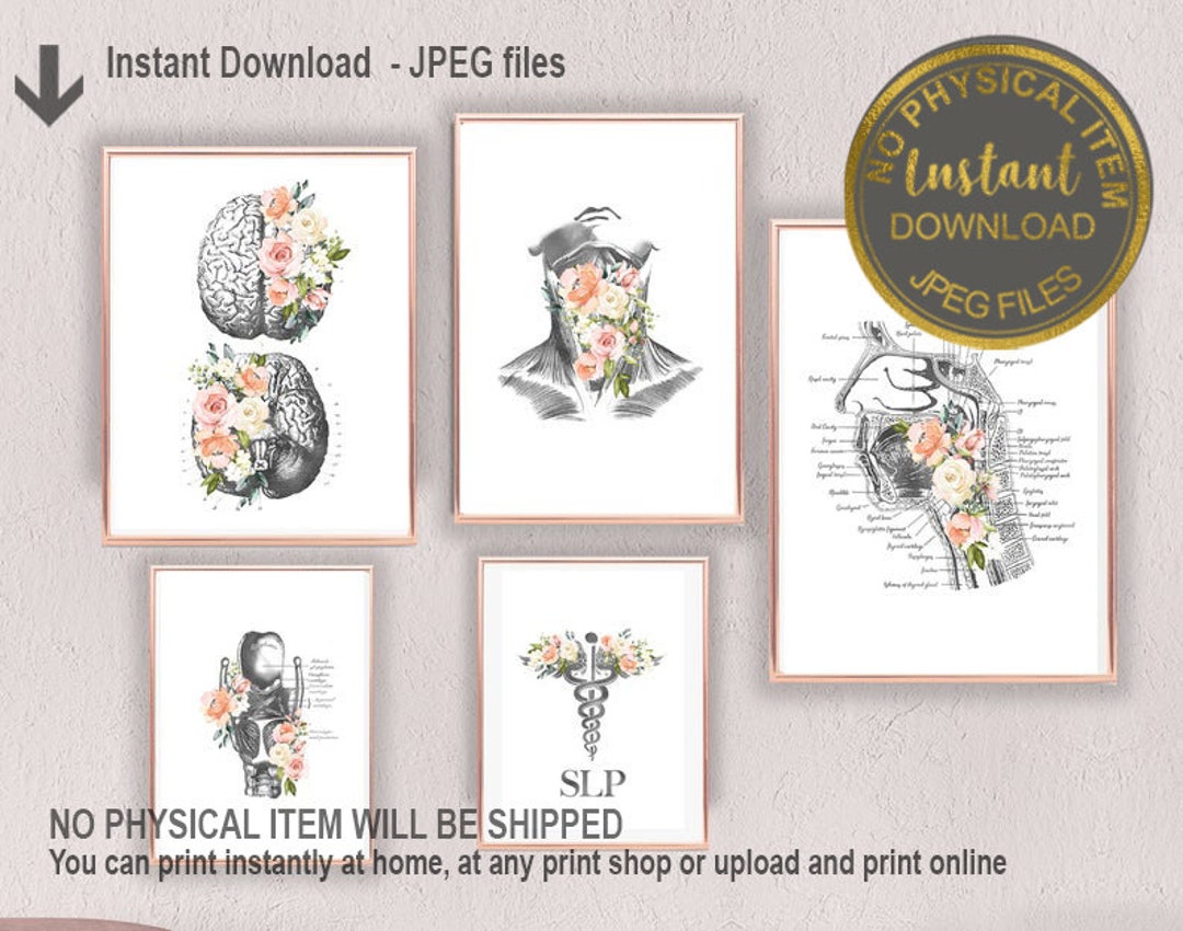 SLP Office Decor, SLP Art Set of 5, Speech Language Pathologist Gift ...