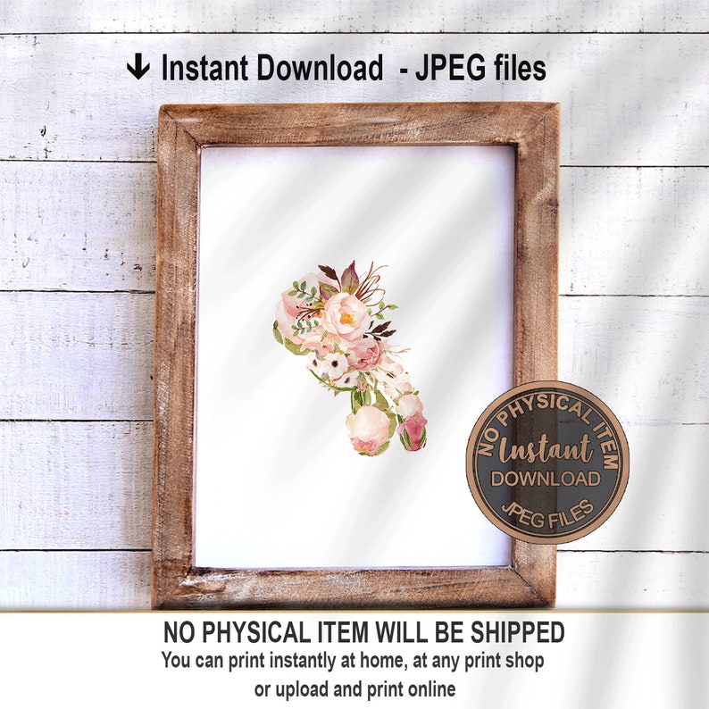 Male Reproductive System Art Print, Floral Art, Urology Art, Fertility ...