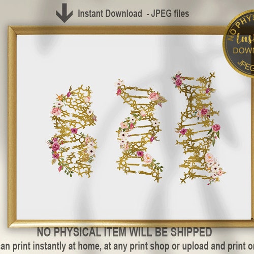 DNA Art Genetics DNA Helix Genetic Doctor Gift Biology Art | Etsy