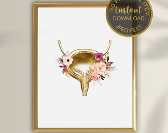 Bladder Art Print - Etsy