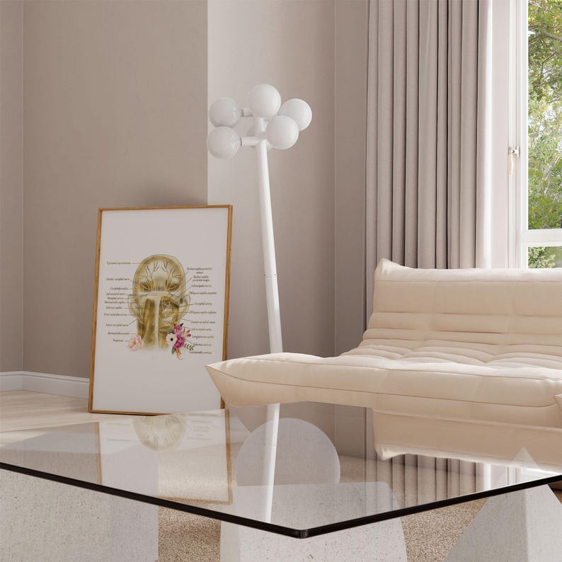 Neck & Head Anatomy Poster, Occipital Nerves Chart, Scalp Nerves ...