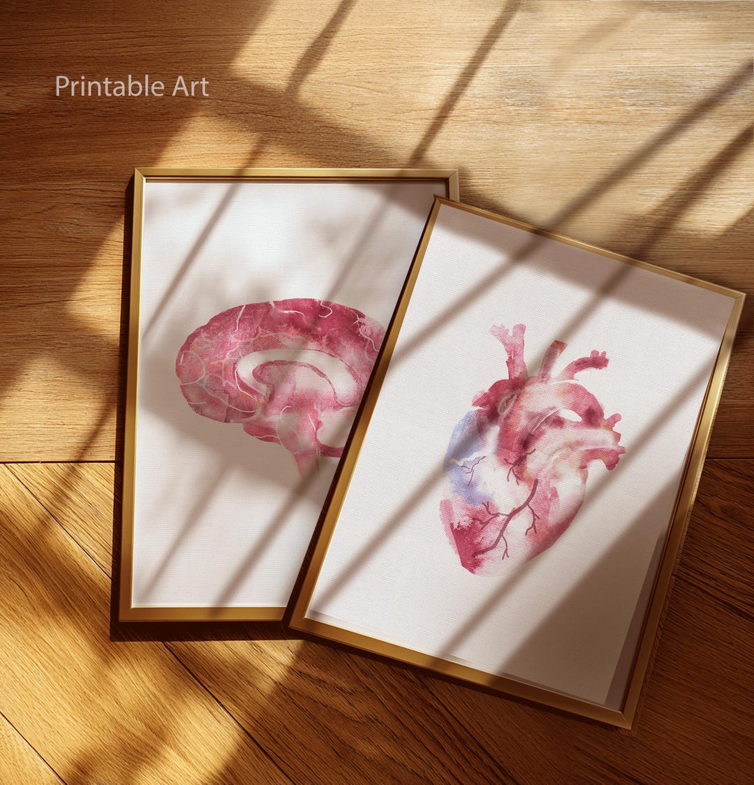 Anatomy Poster Set, Medical Student Gift, Watercolor Brain and Heart ...