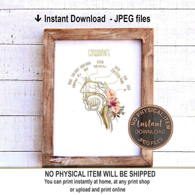 SLP Office Decor Speech Pathology Art SLP Poster Speech - Etsy