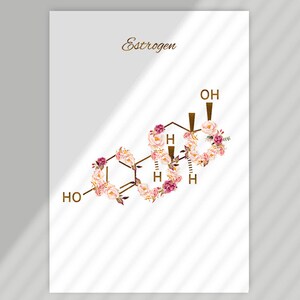 Estrogen Molecule Print, Female Hormone Art,midwife Print, Midwife ...