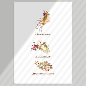 Microbiology Art, Biology Art, Microbiologist Gift, Biology Student ...