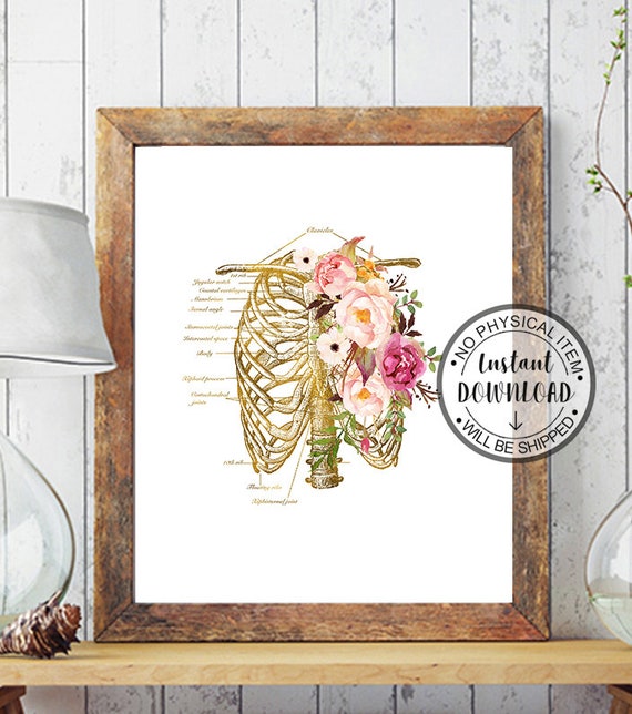 Rib Cage Anatomy Art Skeleton Rib Cage Chest Skeleton Art | Etsy