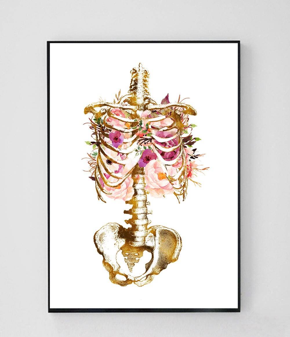 Anatomy Art Print Rib Cage Anatomy Print Skeleton Art - Etsy
