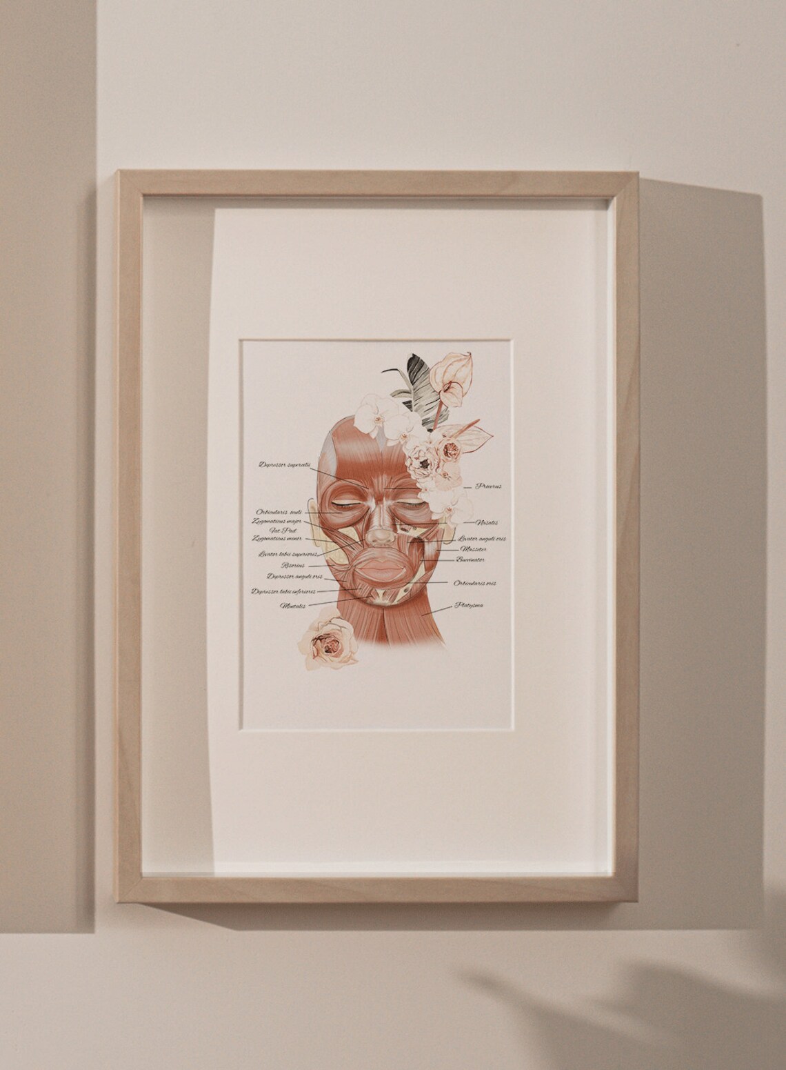 Facial Muscles Print Facial Anatomy Art Plastic Surgery Art - Etsy