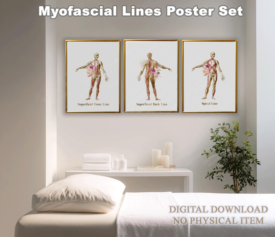 Myofascial Lines Poster Set | Superficial Front Back & Spiral Line ...