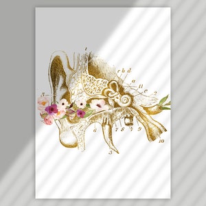 Printable Human Ear Anatomy, Au Diologist Office Decor, Audiology ...