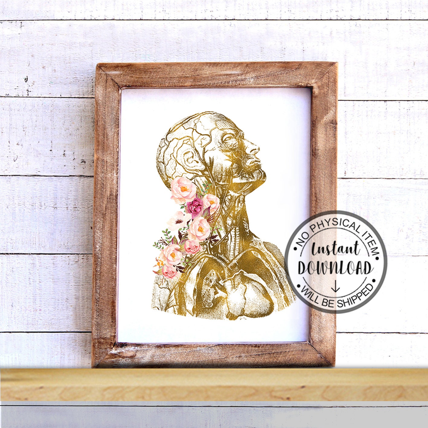 Anatomical Art Human Anatomy Poster Gift for Doctor Medical | Etsy Canada