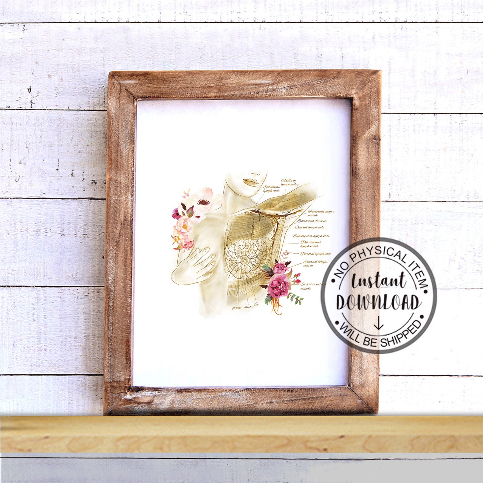 Breast Anatomy Printable Art, Breast Surgery Poster, Plastic Surgeon ...