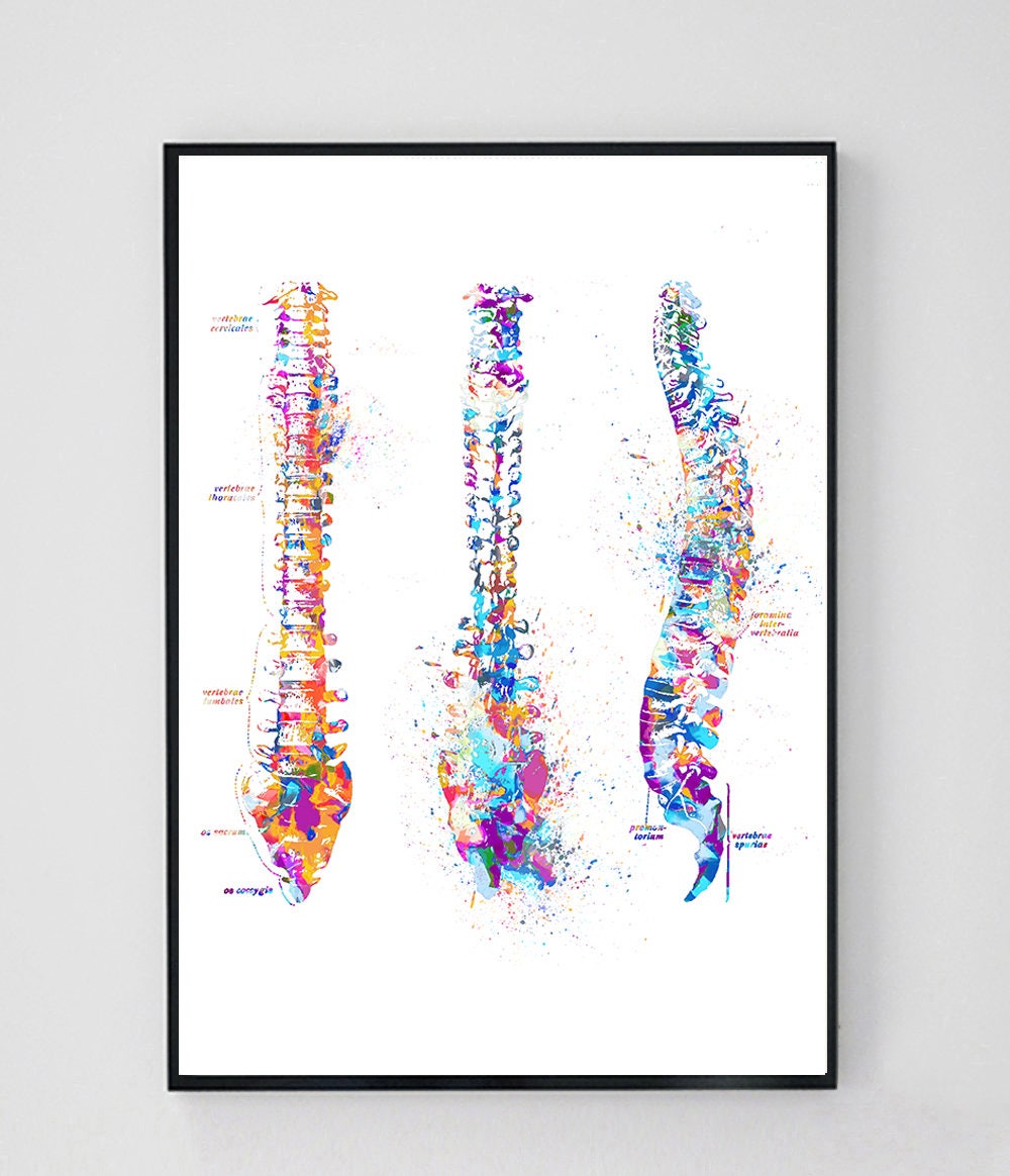 Anatomy Print Set Medical Art Print Anatomy Art Print | Etsy Australia