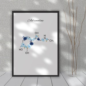 Adrenaline Molecule, Chemistry Gift, Adrenaline Poster, Neurochemistry ...