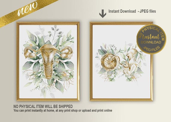Midwife Office Decor Midwife Gift Doula Gift Uterus Art | Etsy