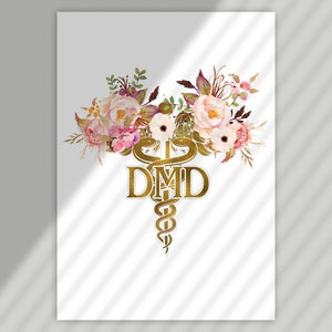 DMD, Doctor of Medicine in Dentistry, Doctor of Dental Medicine ...