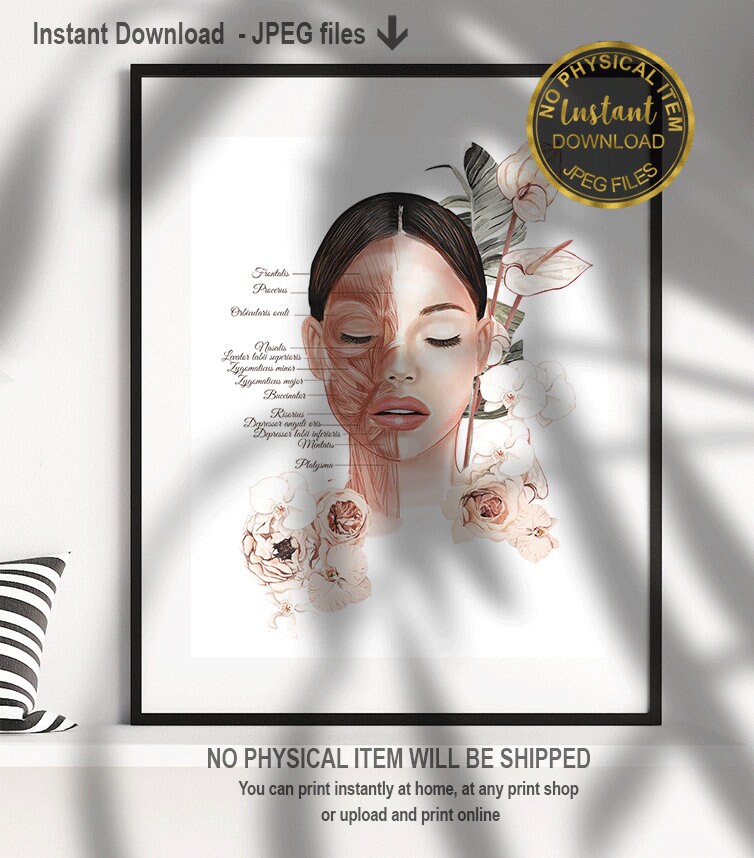 Facial Muscles Print Esthetician Office Decor Esthetician | Etsy