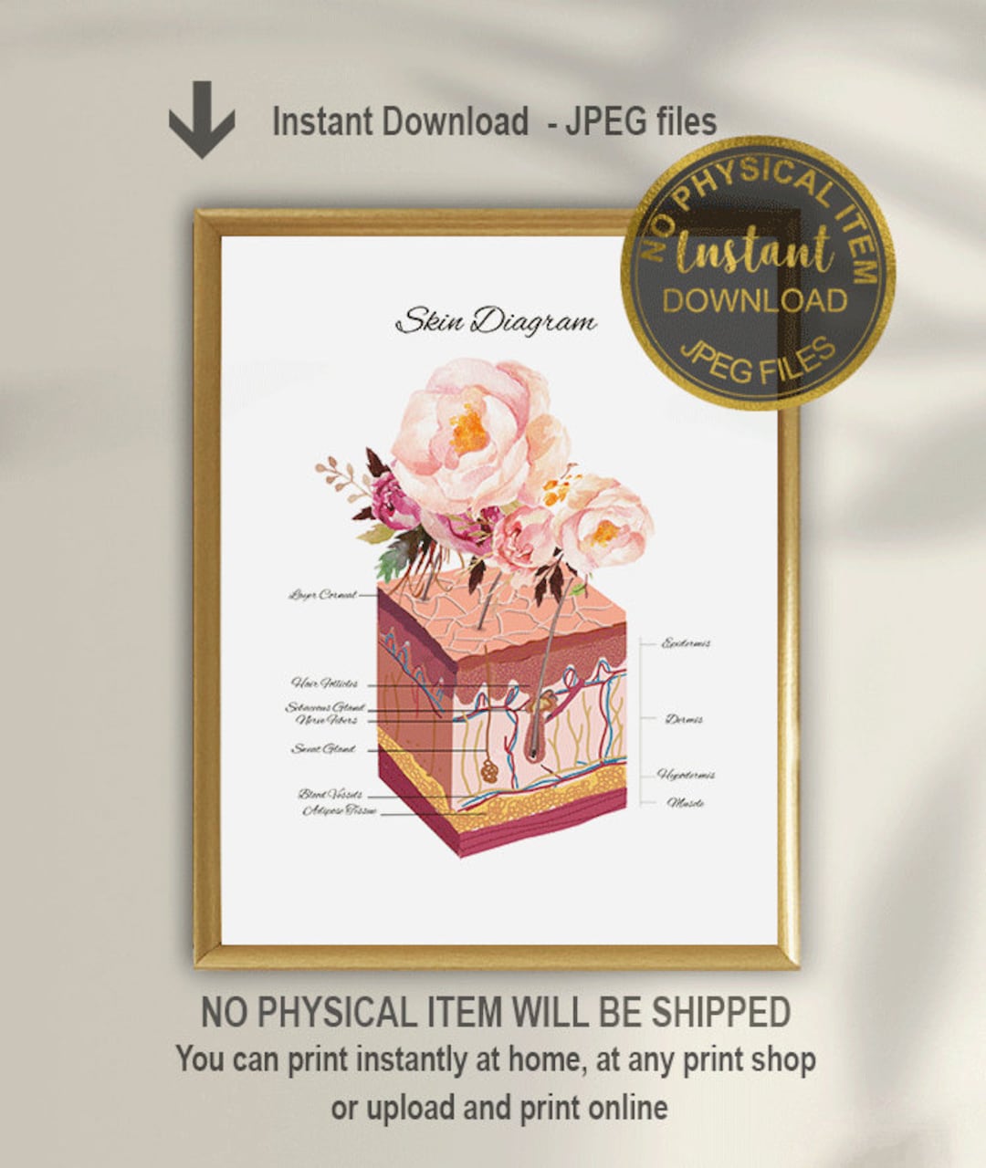 Skin Anatomy Poster for Aesthetic Clinics – Medical Wall Art for ...