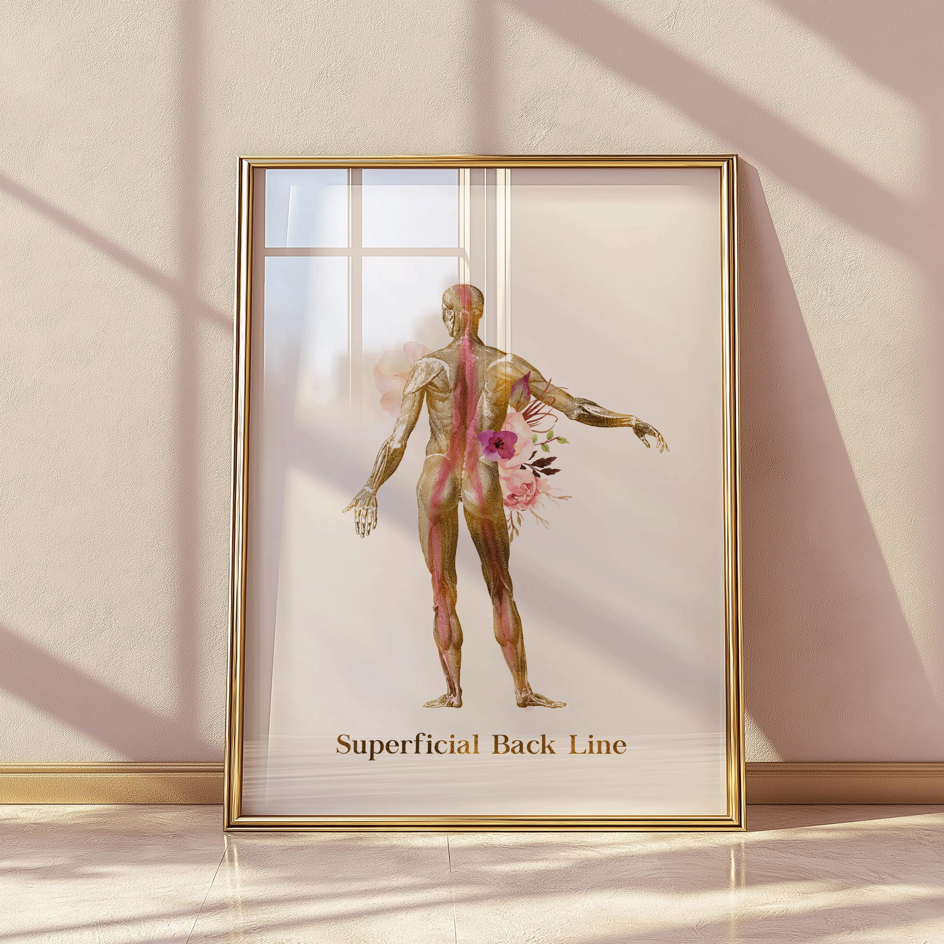 Myofascial Lines Poster Set | Superficial Front Back & Spiral Line ...