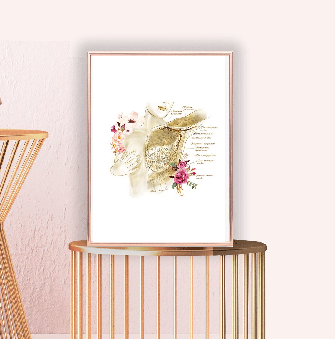 Breast Anatomy Printable Art Breast Plastic Surgery Clinic - Etsy