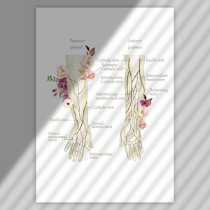 Phlebotomist Art Printable Wall Decor, Nurse & Phlebotomy Tech Gift ...