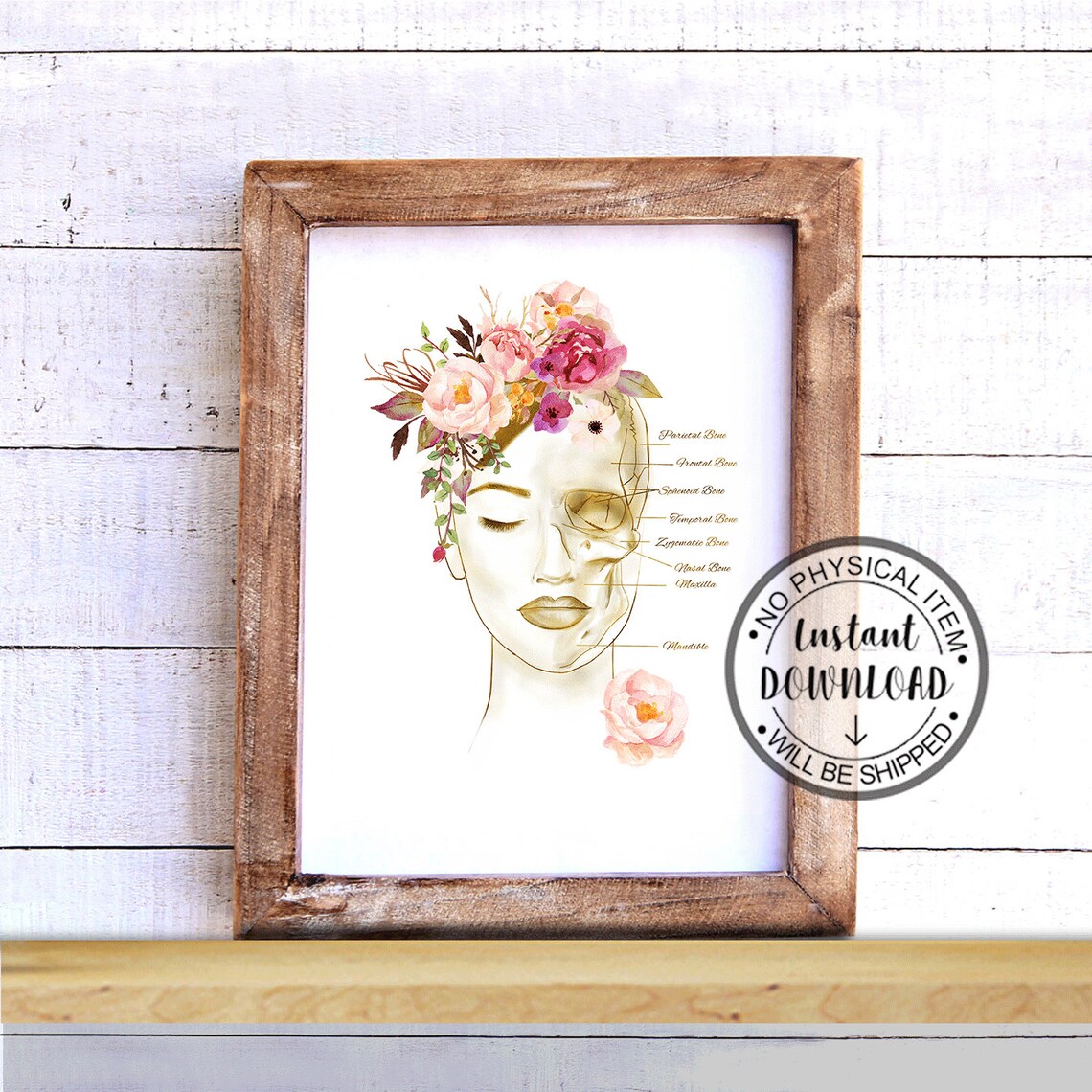 Facial Bones Art Print Printable Skull Anatomy Art Plastic - Etsy