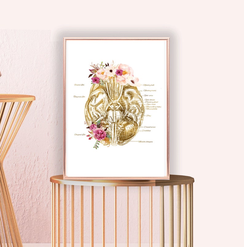 Human Brain Anatomy Brain Art Neurologist Office Decor | Etsy