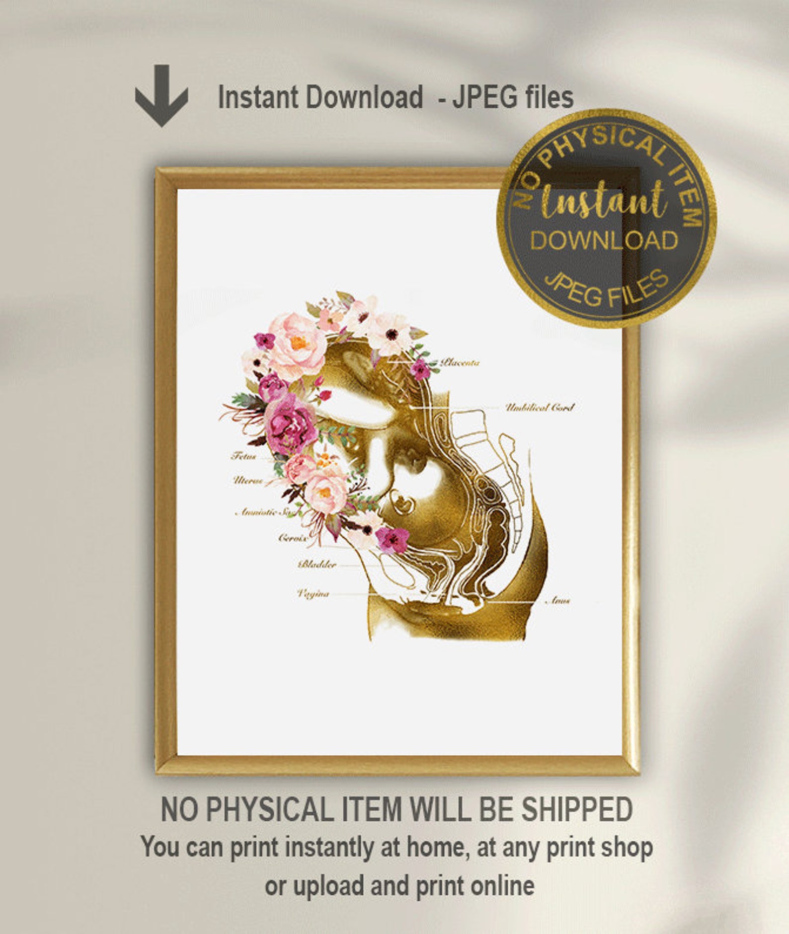 Pregnancy Print Midwife Gift Obstetric Art Gynecology - Etsy